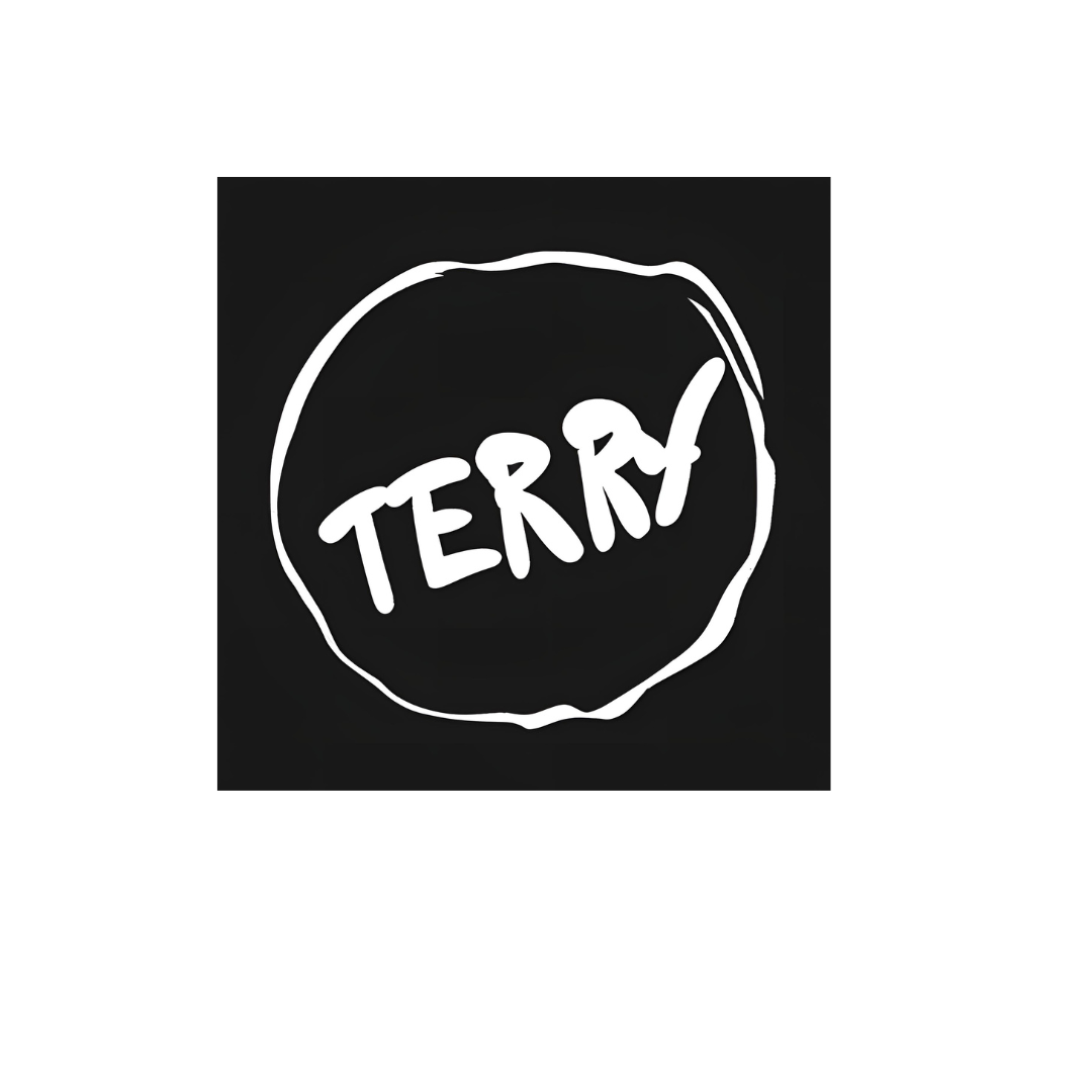 Dream CTO | Dream CTO